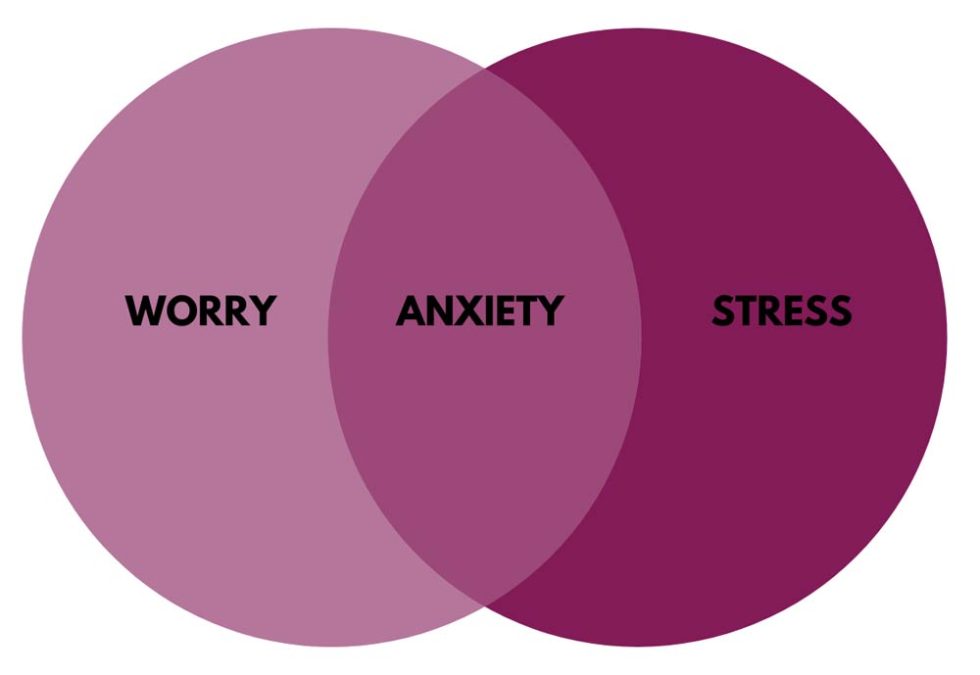 Why is it important to know the difference between worry, stress, and ...